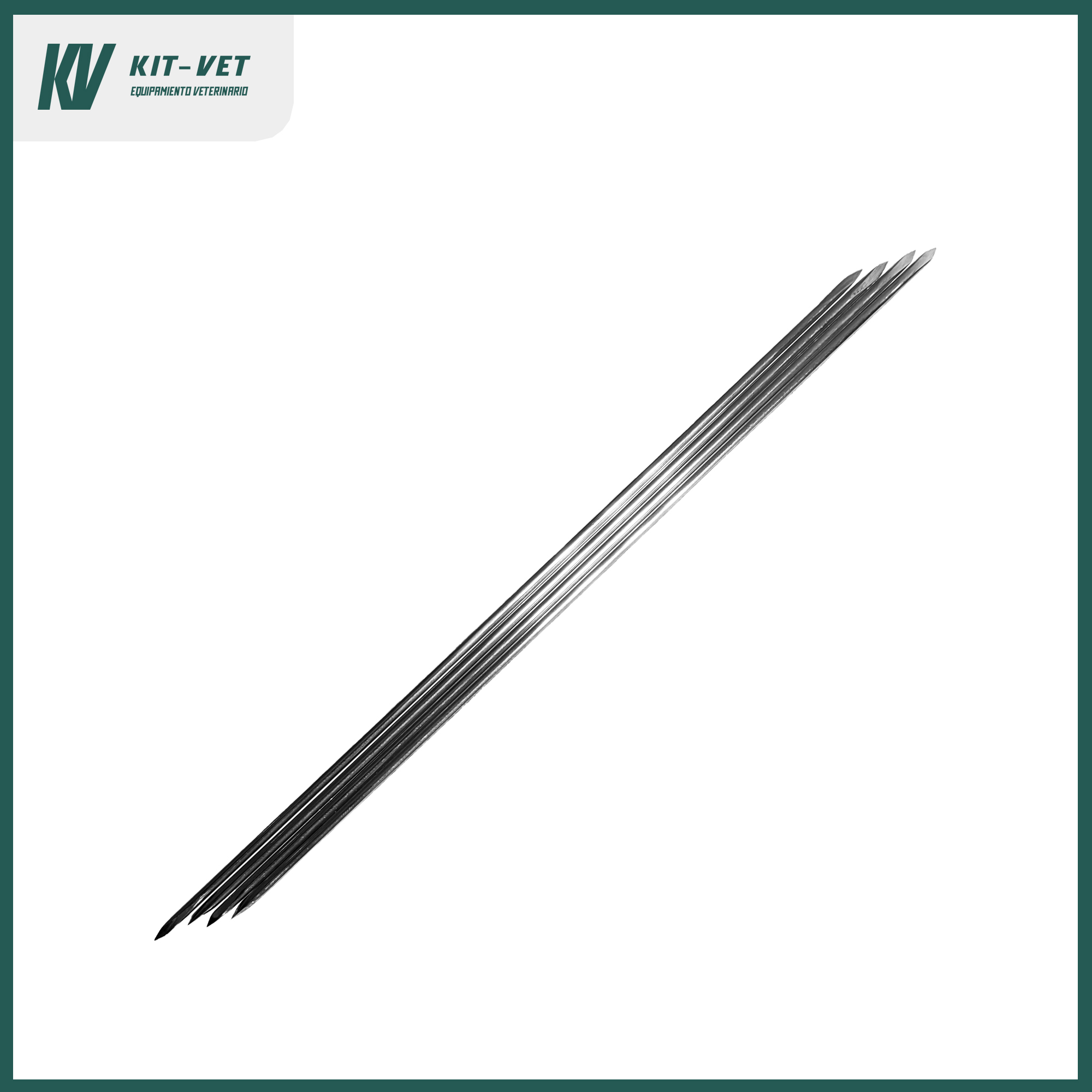 Clavos Steinmann - KIT-VET