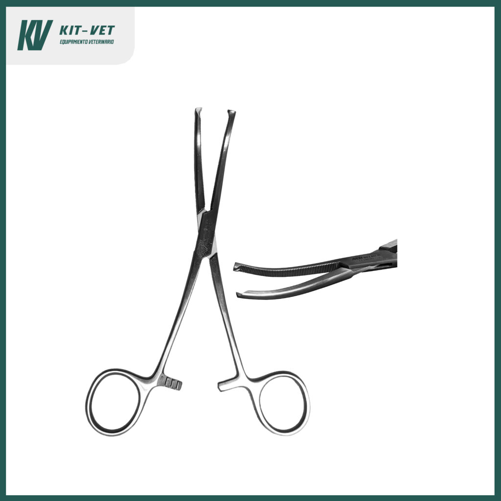 Pinza Kocher Curva - KIT-VET