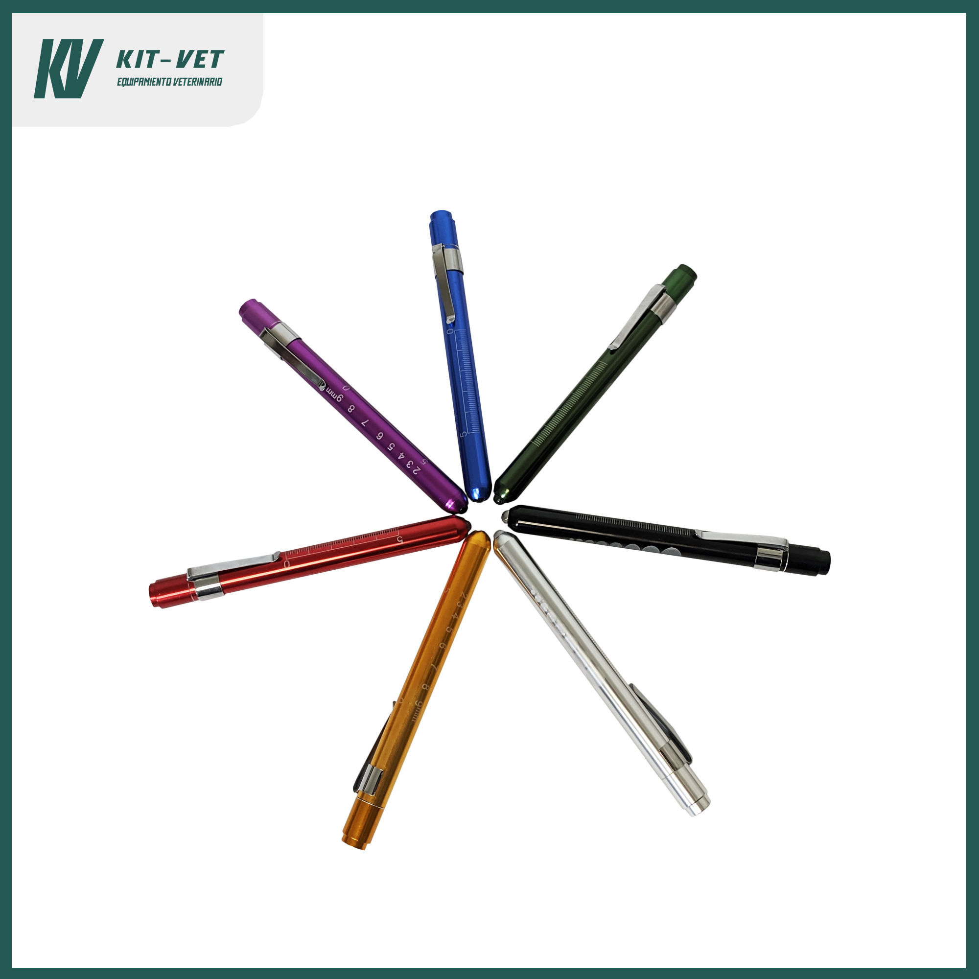 Linterna Puntiforme - KIT-VET