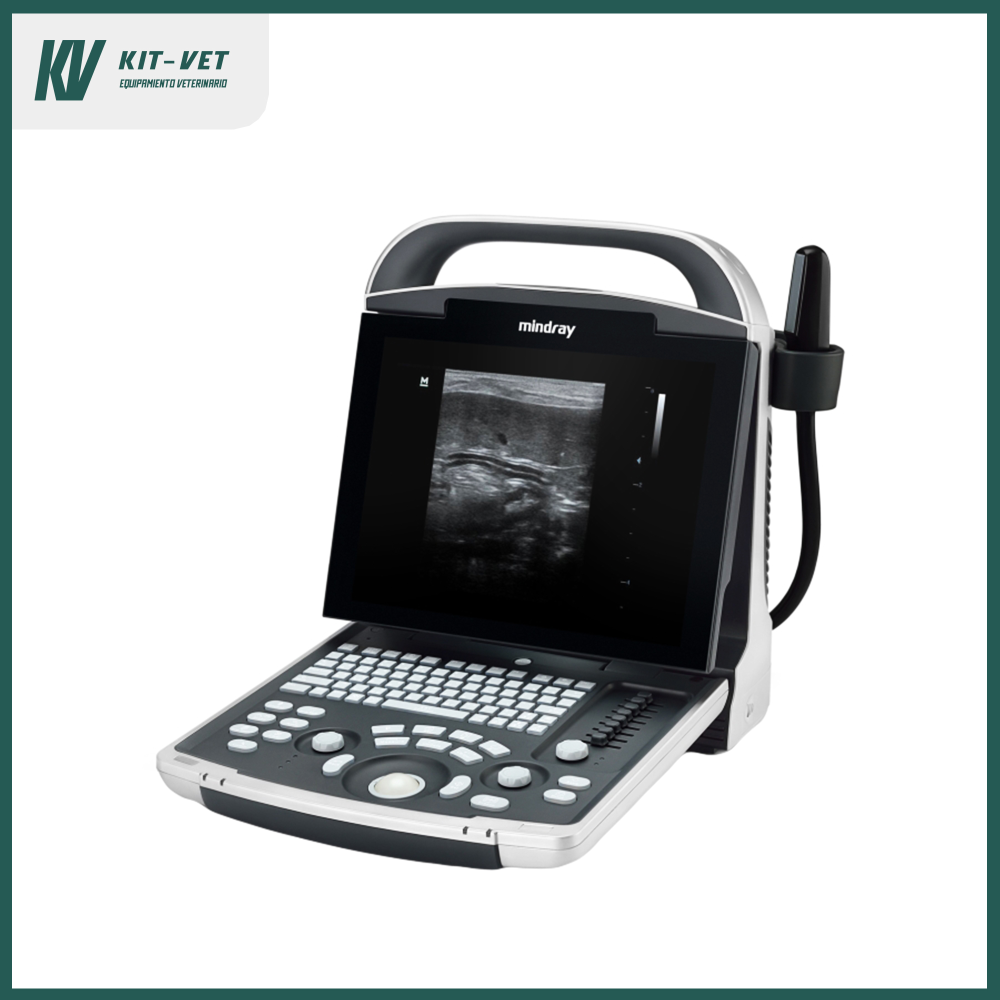 Ecógrafo Mindray DP30 VET - KIT-VET