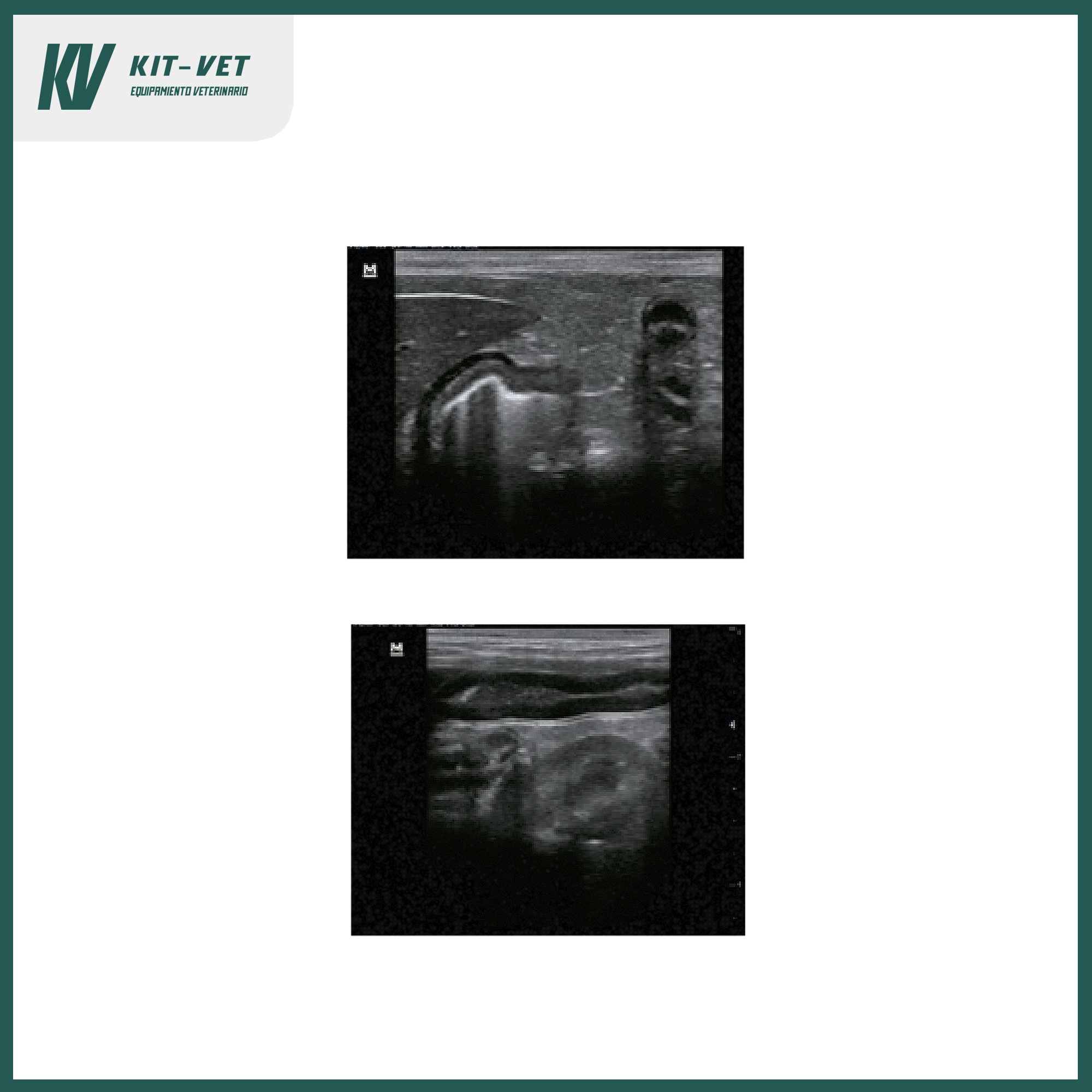 Ecógrafo Mindray DP30 VET - KIT-VET