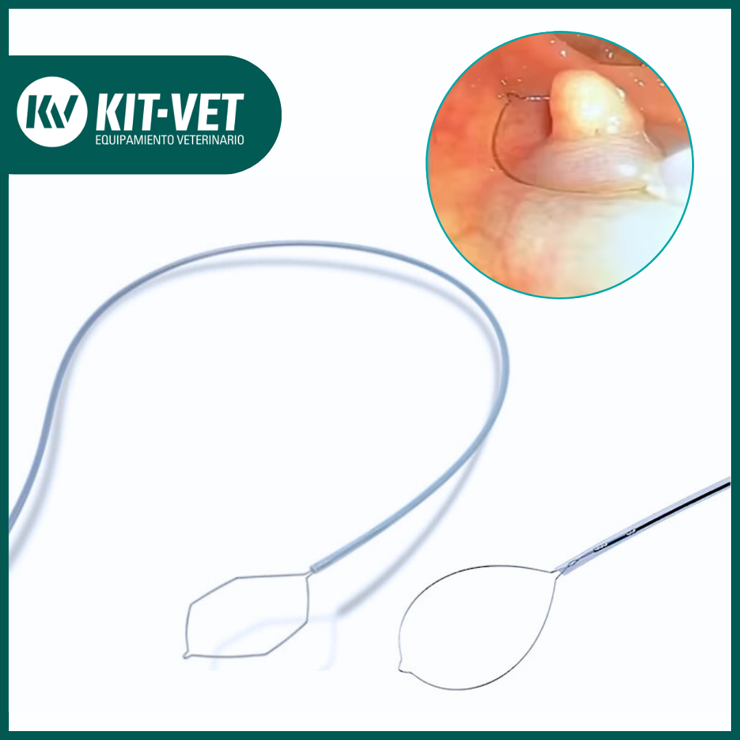 Asa de Resección para Endoscopía - KIT-VET