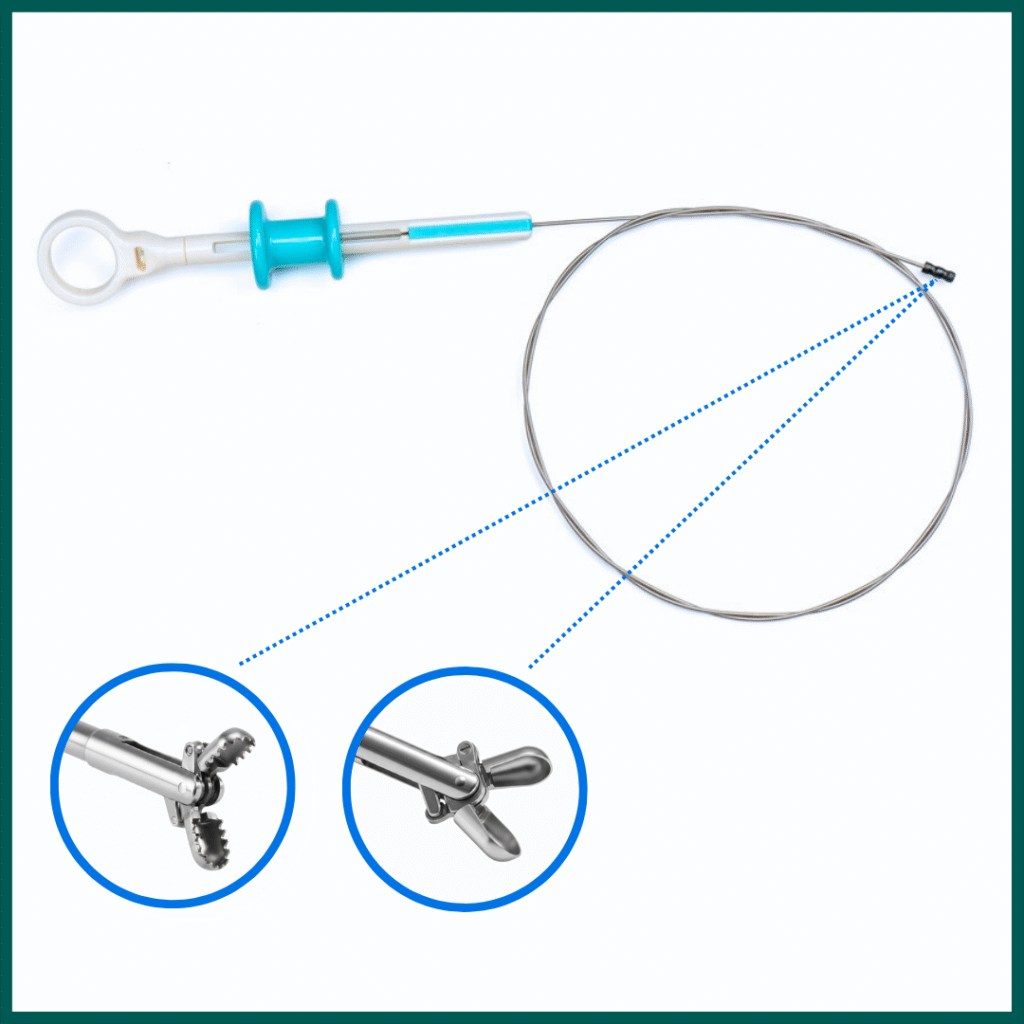Pinzas de Biopsia para Endoscopio - KIT-VET